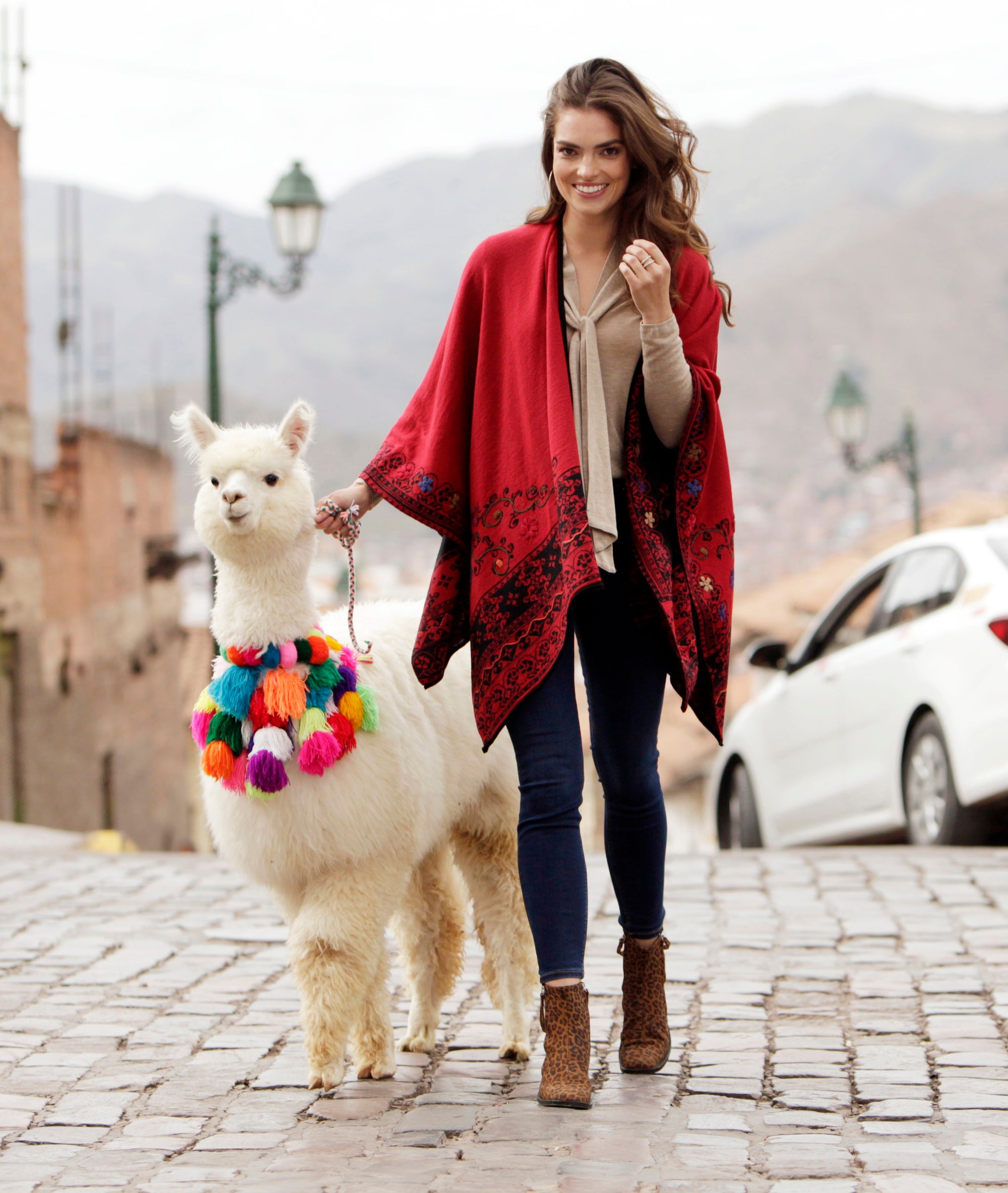 Peruvian Link Alpaca Collection