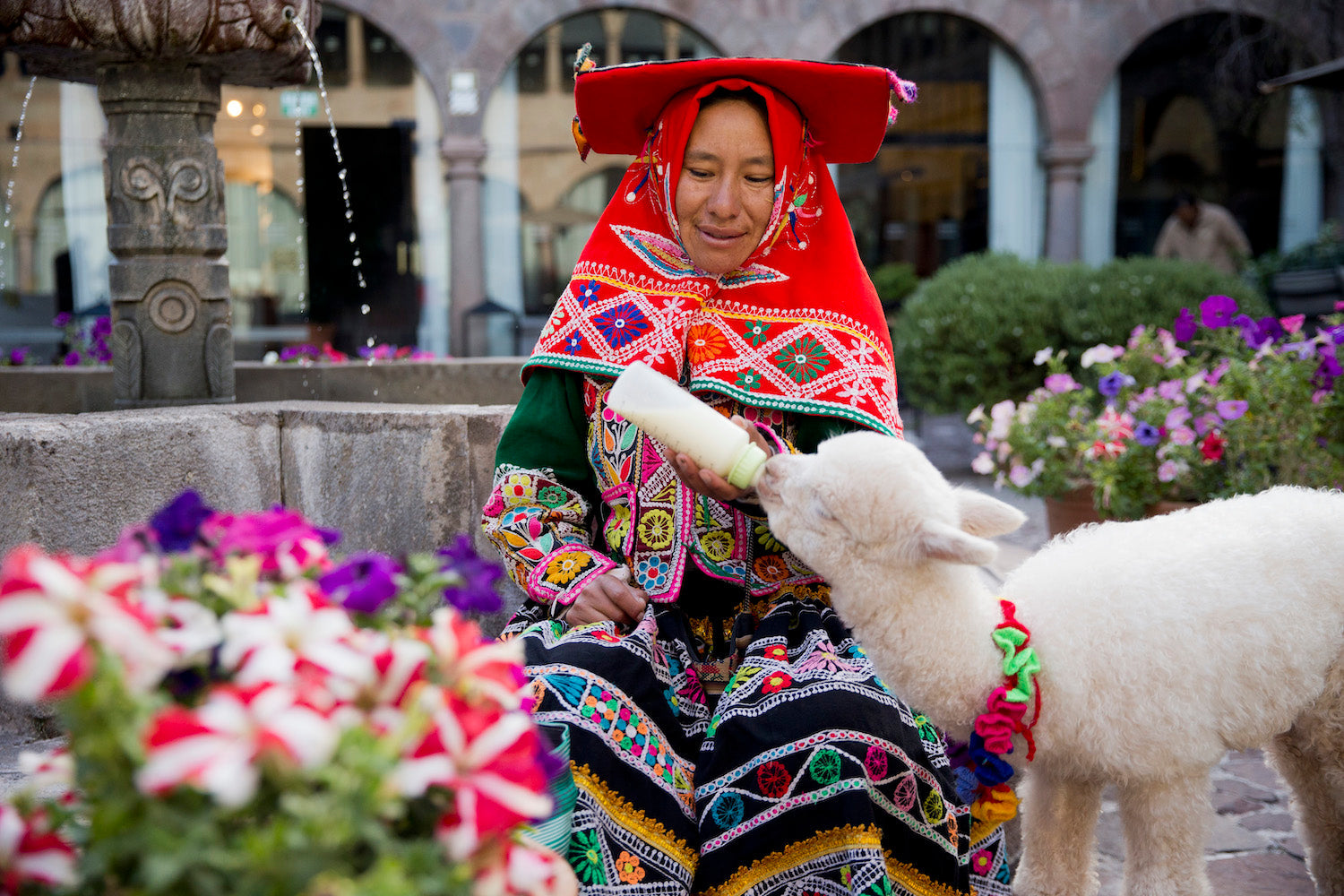 Contact – Peruvian Link Alpaca Collection