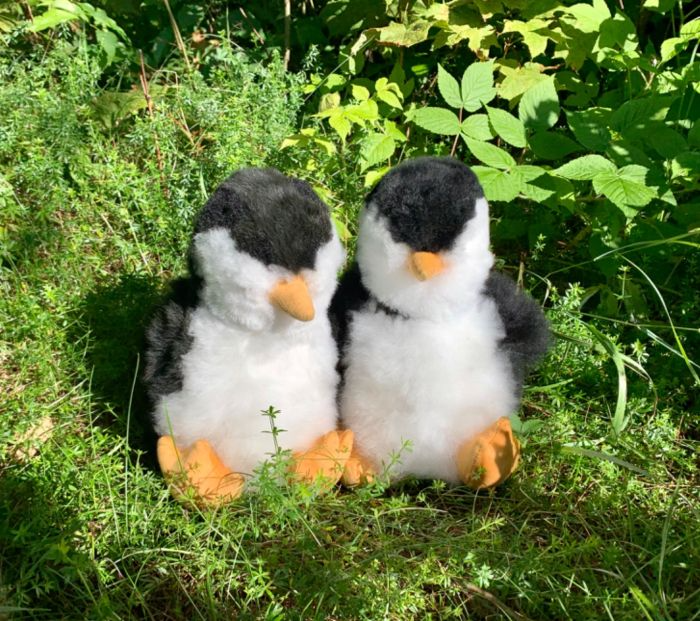 Penguin – Peruvian Link Alpaca Collection