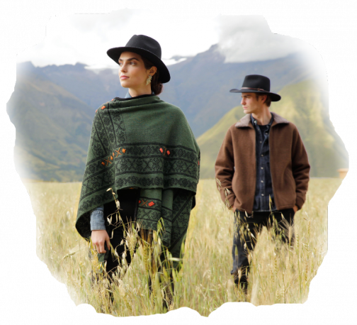 Peruvian Link Alpaca Collection