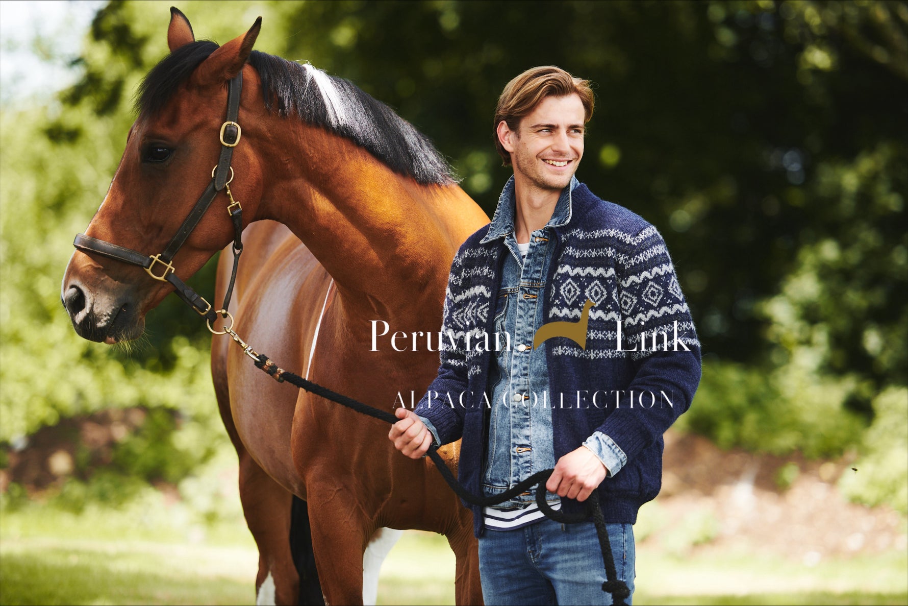 Wholesale – Peruvian Link Alpaca Collection